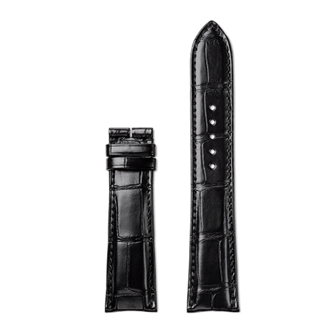 Stainless Steel Men Watch Automatic, self-winding Polaris Date Q906863J ...